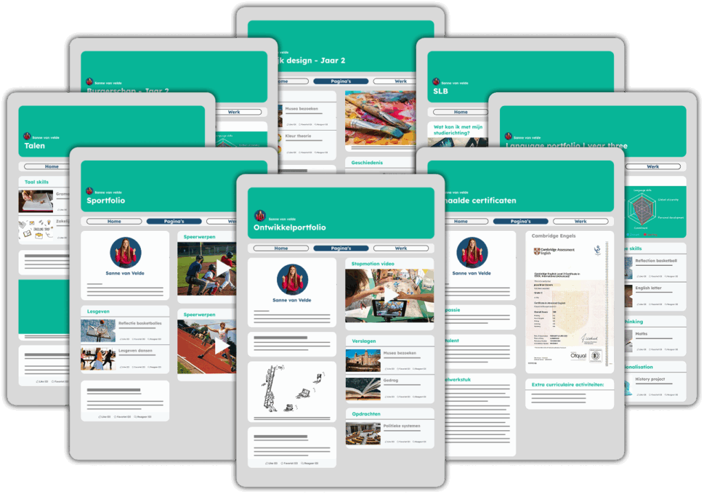 Portfolio voor het mbo: reflectie en feedback door studenten